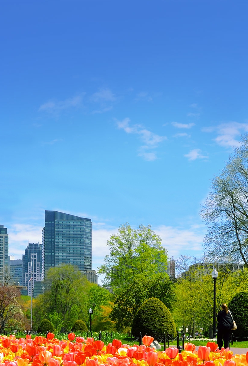 Boston | Signature Boston