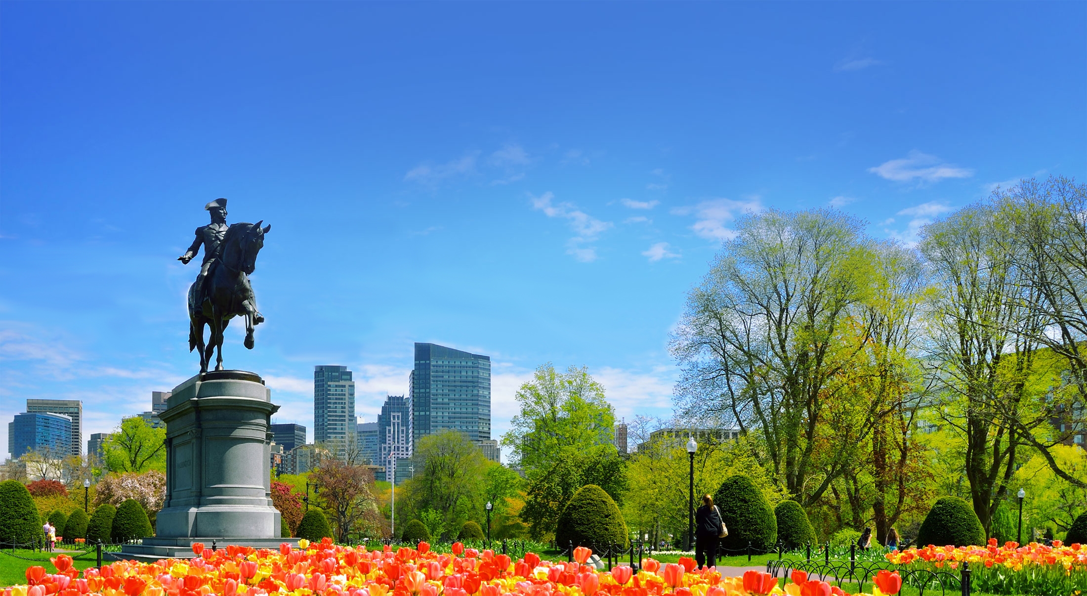 Boston | Signature Boston